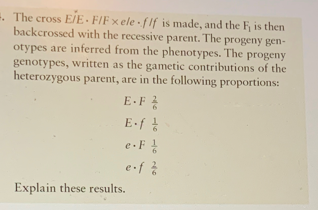Solved The cross EE*FF×ele*ff ﻿is made, and the F1 ﻿is then | Chegg.com