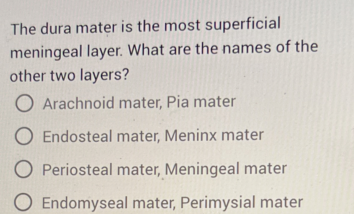 Solved The dura mater is the most superficial meningeal | Chegg.com
