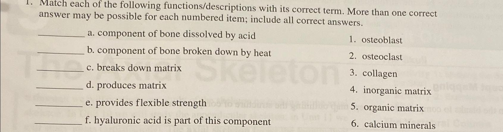 Solved Match each of the following functions/descriptions | Chegg.com