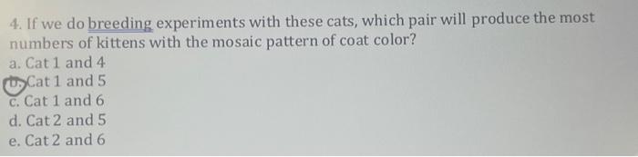 Solved (Q1-4) In domesticated cats, one locus in X | Chegg.com