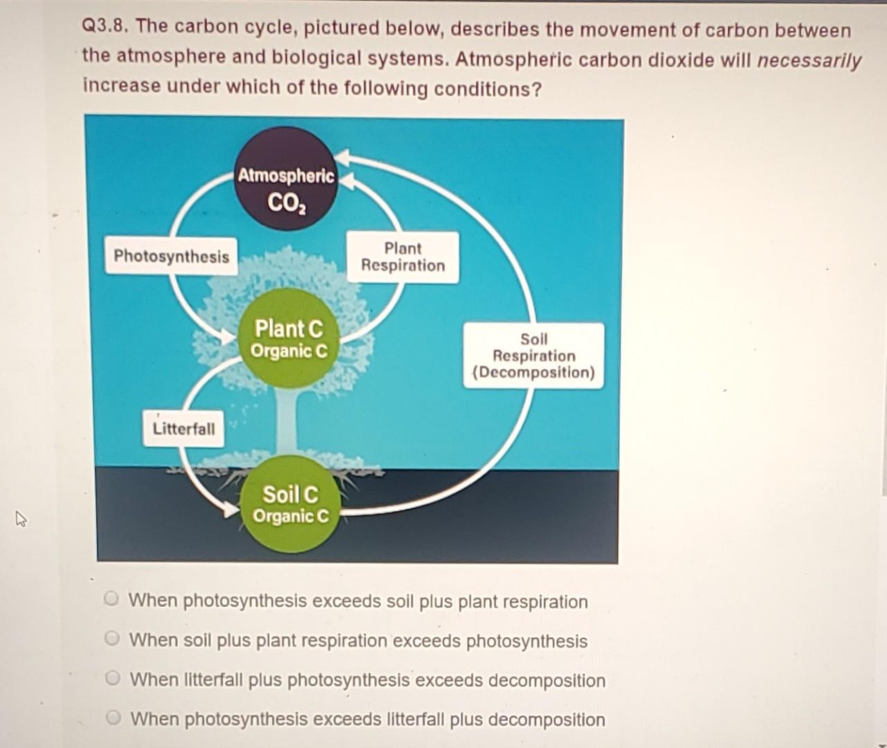 Plant Respiration Cycle