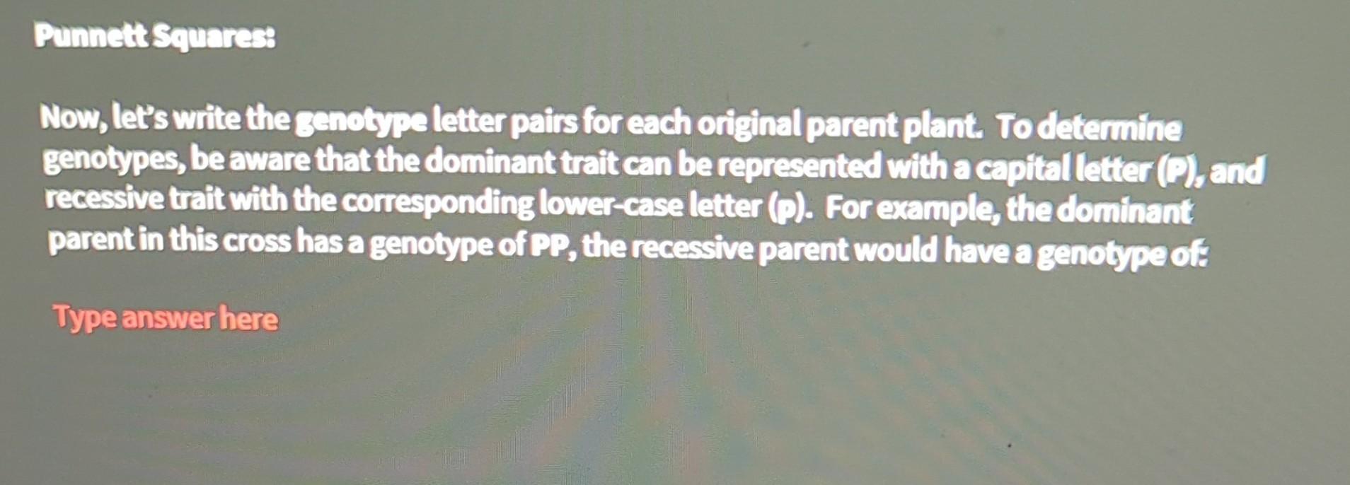 Solved Punncti squarest Now, let's write the genotype letter | Chegg.com