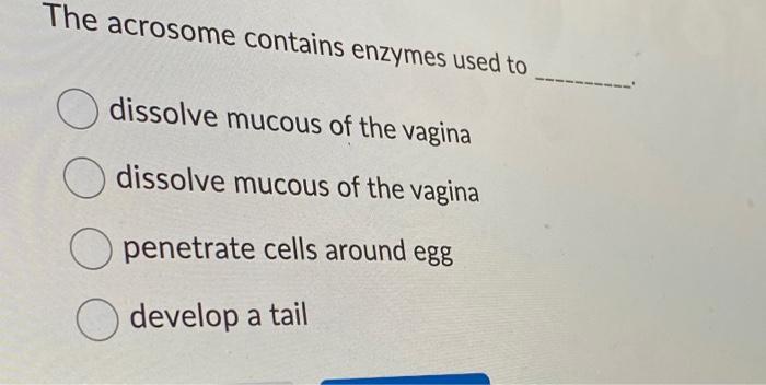 Solved Contraction of the cremaster \& dartos muscle results | Chegg.com