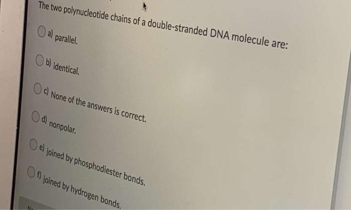 Solved The two polynucleotide chains of a double-stranded | Chegg.com