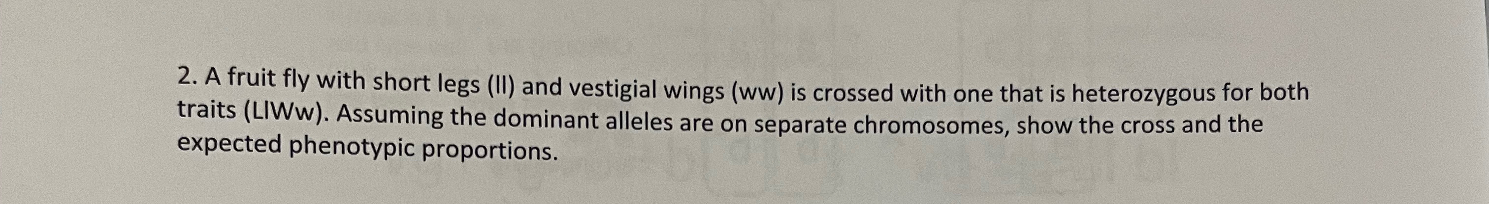 Solved A fruit fly with short legs (II) ﻿and vestigial wings | Chegg.com