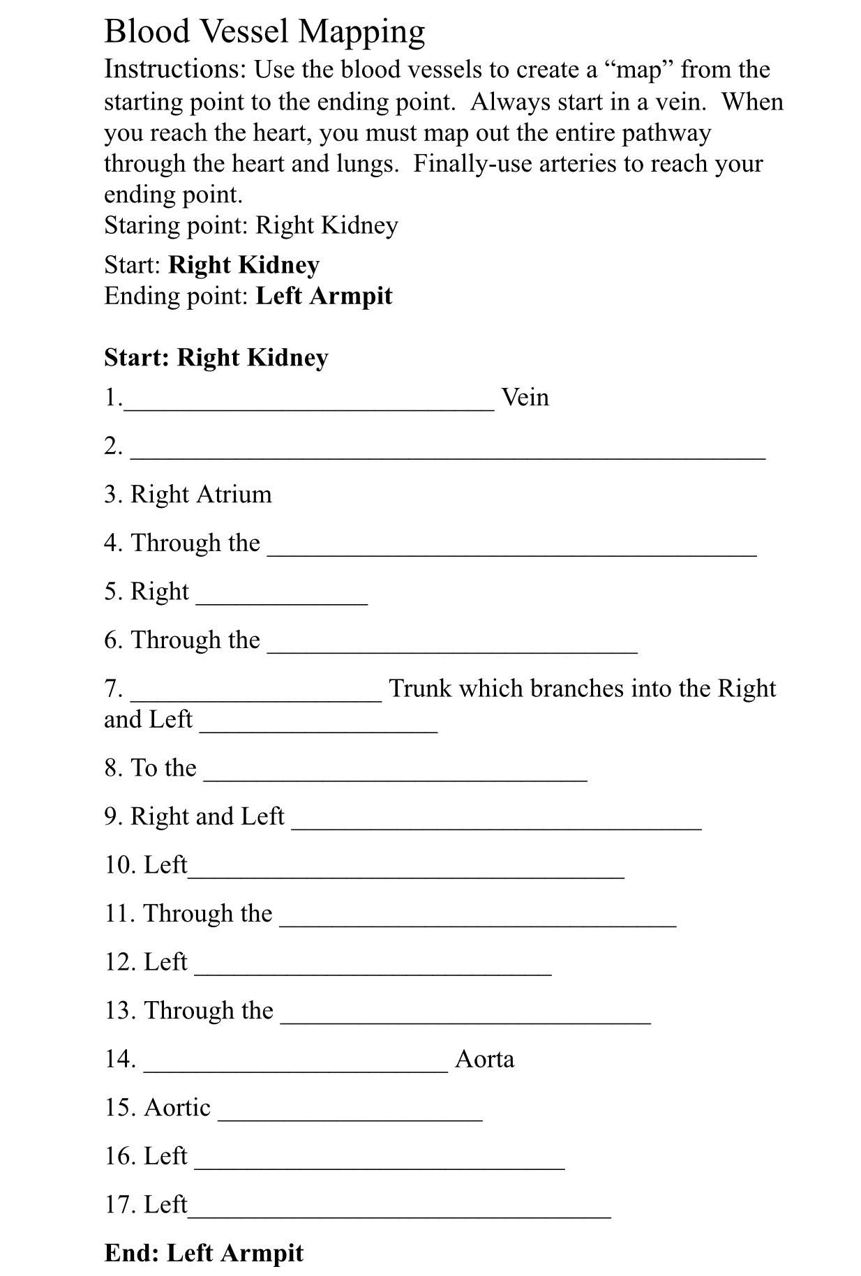 Solved Blood Vessel MappingInstructions: Use the blood | Chegg.com