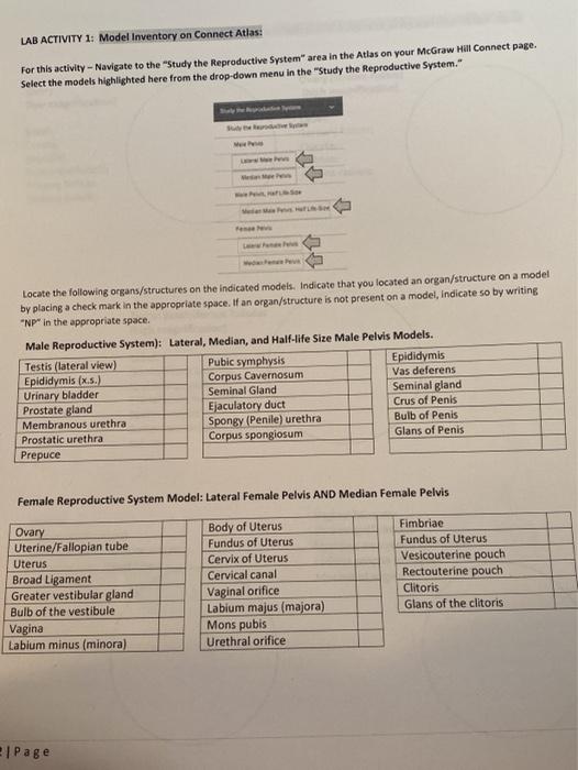 LAB ACTIVITY 1: Model Inventory on Connect Atlas: | Chegg.com