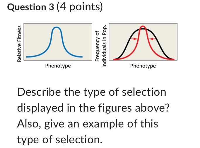 Solved Question 3 (4 points) Describe the type of selection | Chegg.com