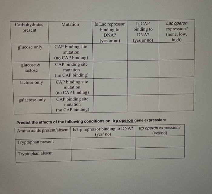Solved The lac operon is a Positive / Negative Inducible / | Chegg.com