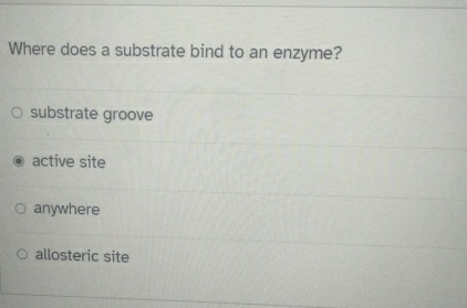 Solved Where does a substrate bind to an enzyme?substrate | Chegg.com