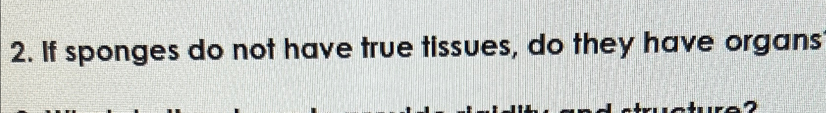 Solved If sponges do not have true tissues, do they have | Chegg.com