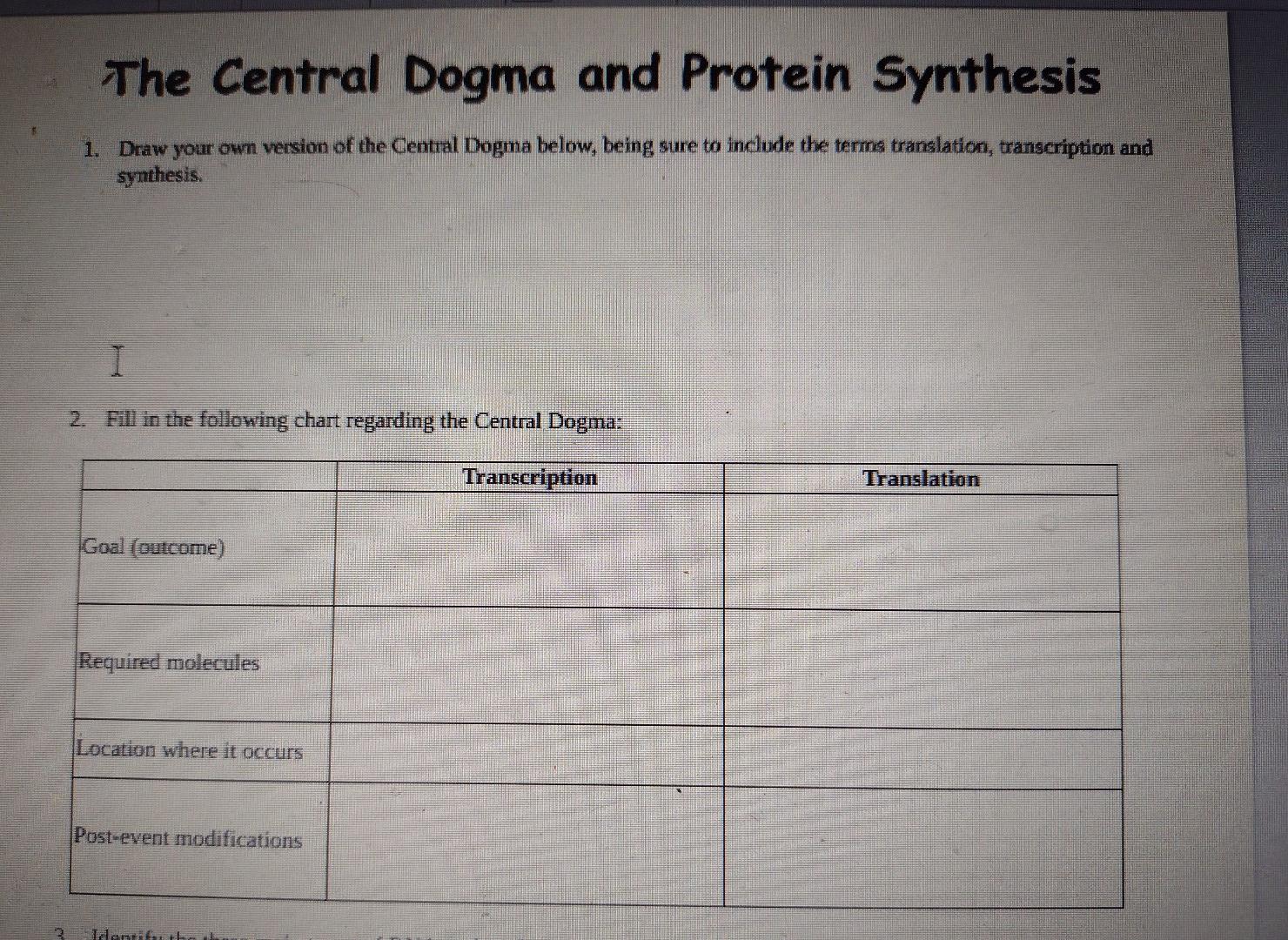 Solved The Central Dogma and Protein Synthesis 1. Draw your | Chegg.com