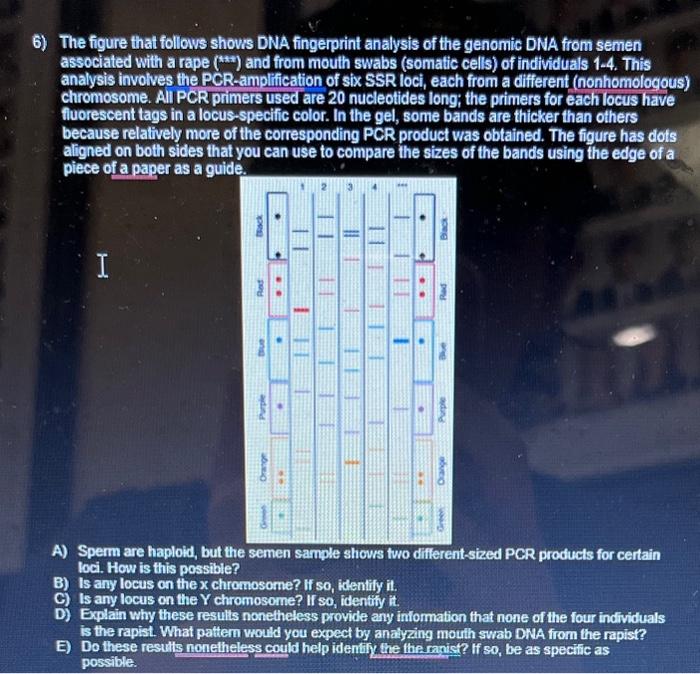 6 The Figure That Follows Shows Dna Fingerprint