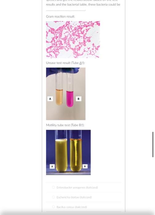 Solved results and the bacterial table. these bacteria could | Chegg.com