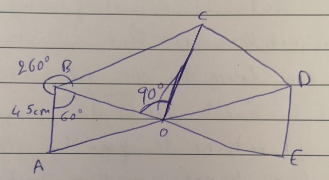 Solved Describe with sketches, triangulation figures, | Chegg.com