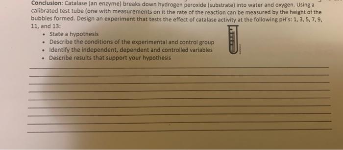 Solved Conclusion: Catalase (an enzyme) breaks down hydrogen | Chegg.com