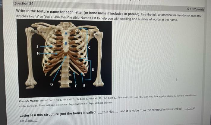 Solved Write in the feature name for each letter (or bone | Chegg.com