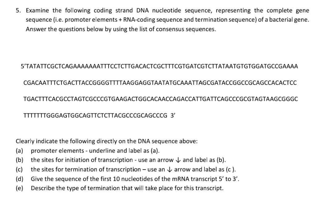 Solved 5. Examine the following coding strand DNA nucleotide | Chegg.com