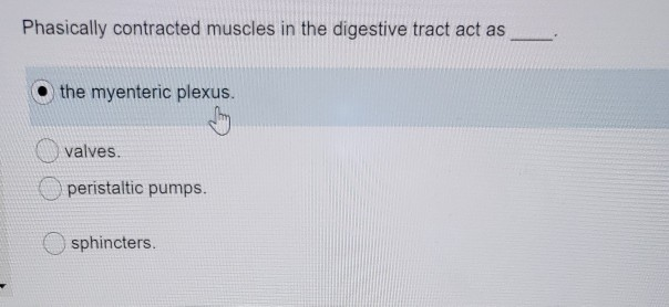 Solved Phasically contracted muscles in the digestive tract | Chegg.com