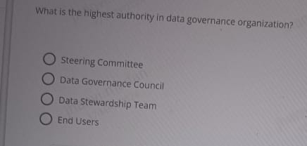 Solved What is the highest authority in data governance | Chegg.com