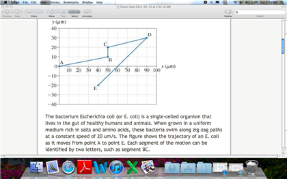 Solved The bacterium Escherichia coli (or E. coli) is a | Chegg.com
