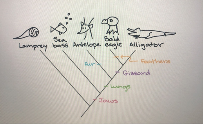 Solved I need helo teying to understand how to differentiate | Chegg.com