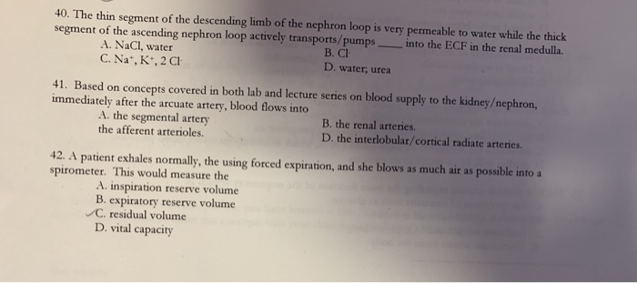 Solved 40. The thin segment of the descending limb of the | Chegg.com