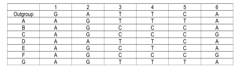 Solved In the DNA sequence data matrix, the actual | Chegg.com