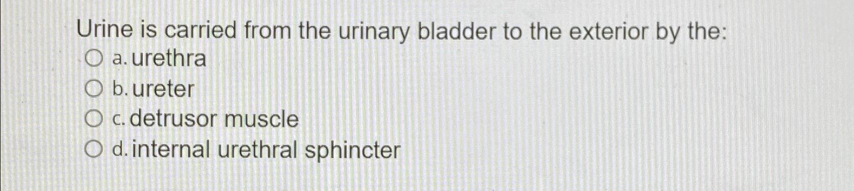 Solved Urine is carried from the urinary bladder to the | Chegg.com