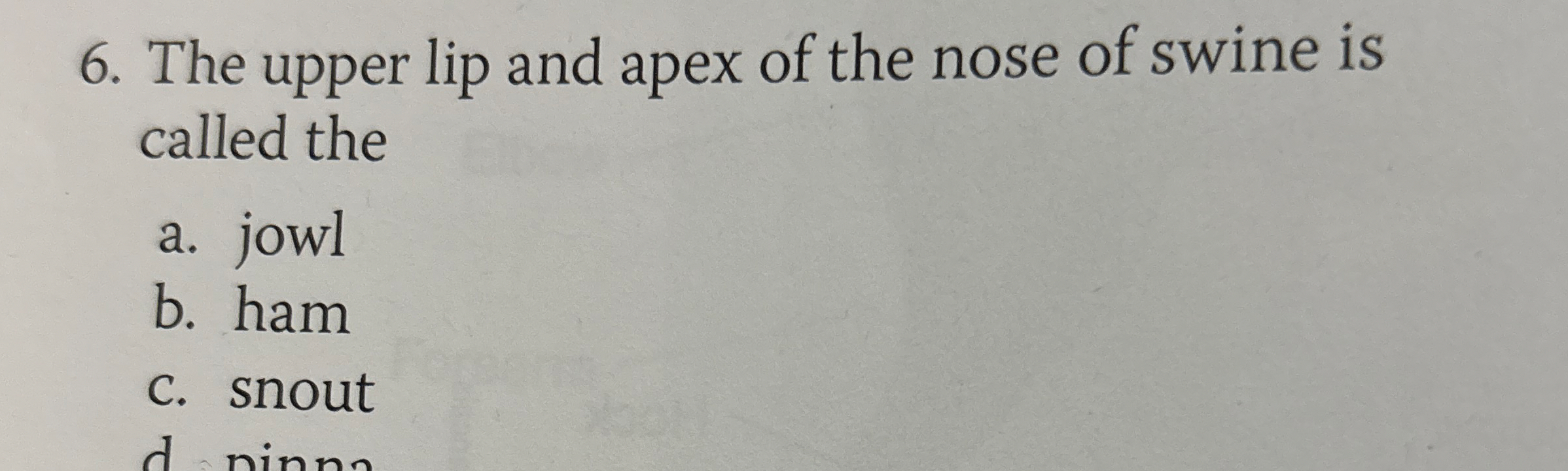 Solved The upper lip and apex of the nose of swine is called | Chegg.com