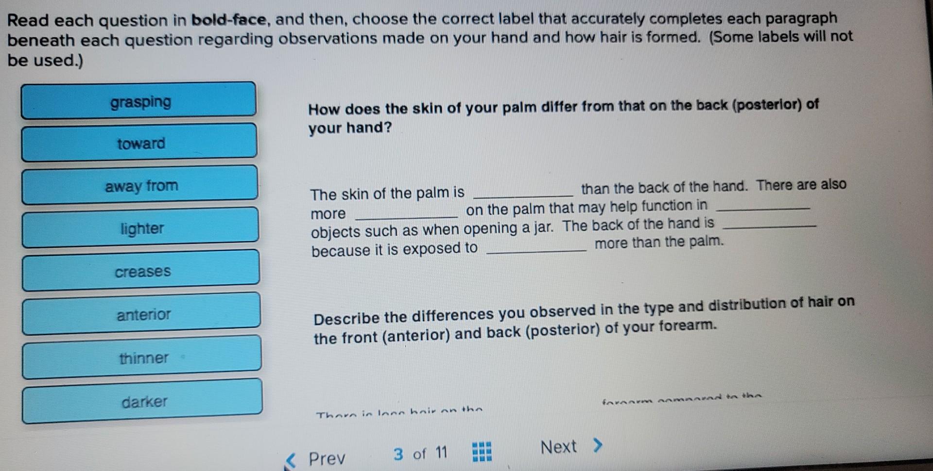 Solved Read each question in bold-face, and then, choose the | Chegg.com