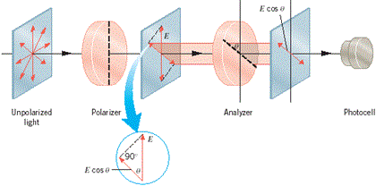 Solved In the polarizer/analyzer combination in the drawing, | Chegg.com