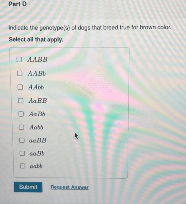 Solved Indicate the genotype(s) of dogs that breed true for | Chegg.com