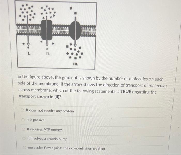 Solved lons diffuse across membranes through specific ion | Chegg.com