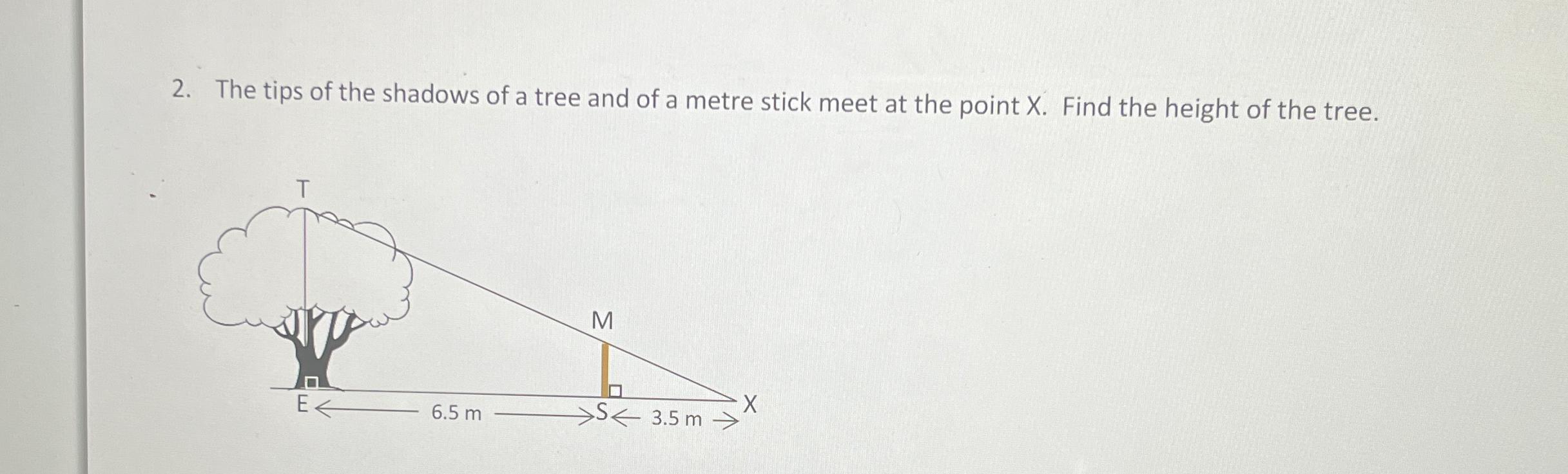 Solved The tips of the shadows of a tree and of a metre | Chegg.com