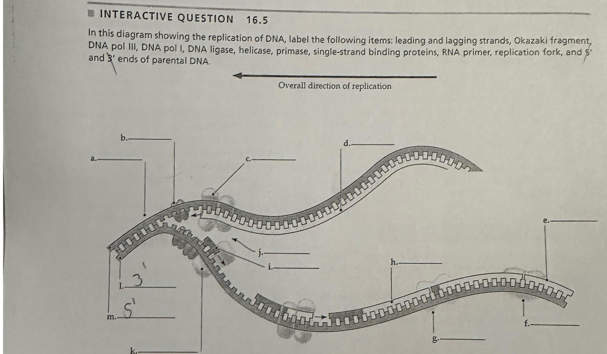 Solved INTERACTIVE QUESTION ,16.5In this diagram showing the | Chegg.com