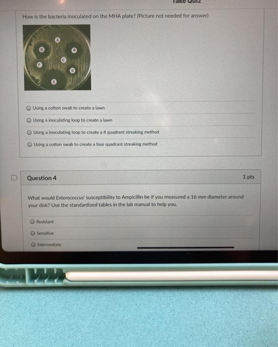 Solved Таке How is the bacteria inoculated on the MHA plate? | Chegg.com