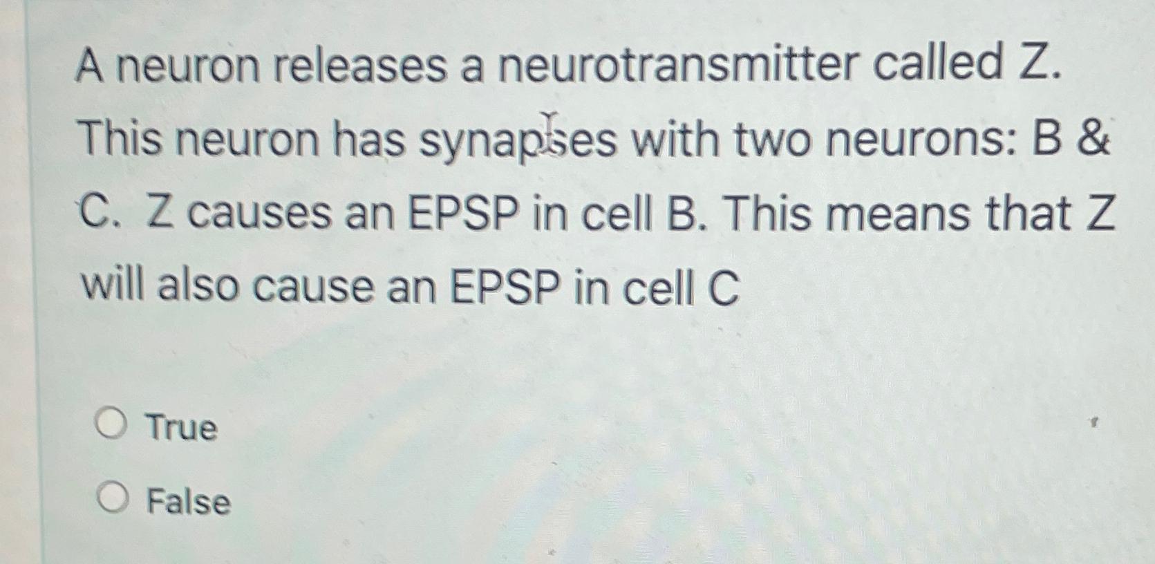 Solved A neuron releases a neurotransmitter called Z. ﻿This | Chegg.com