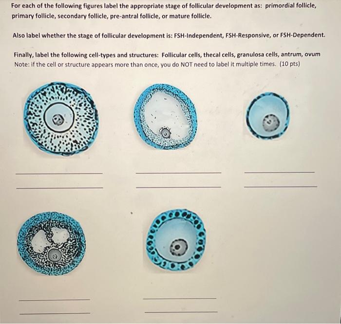 Solved For each of the following figures label the | Chegg.com