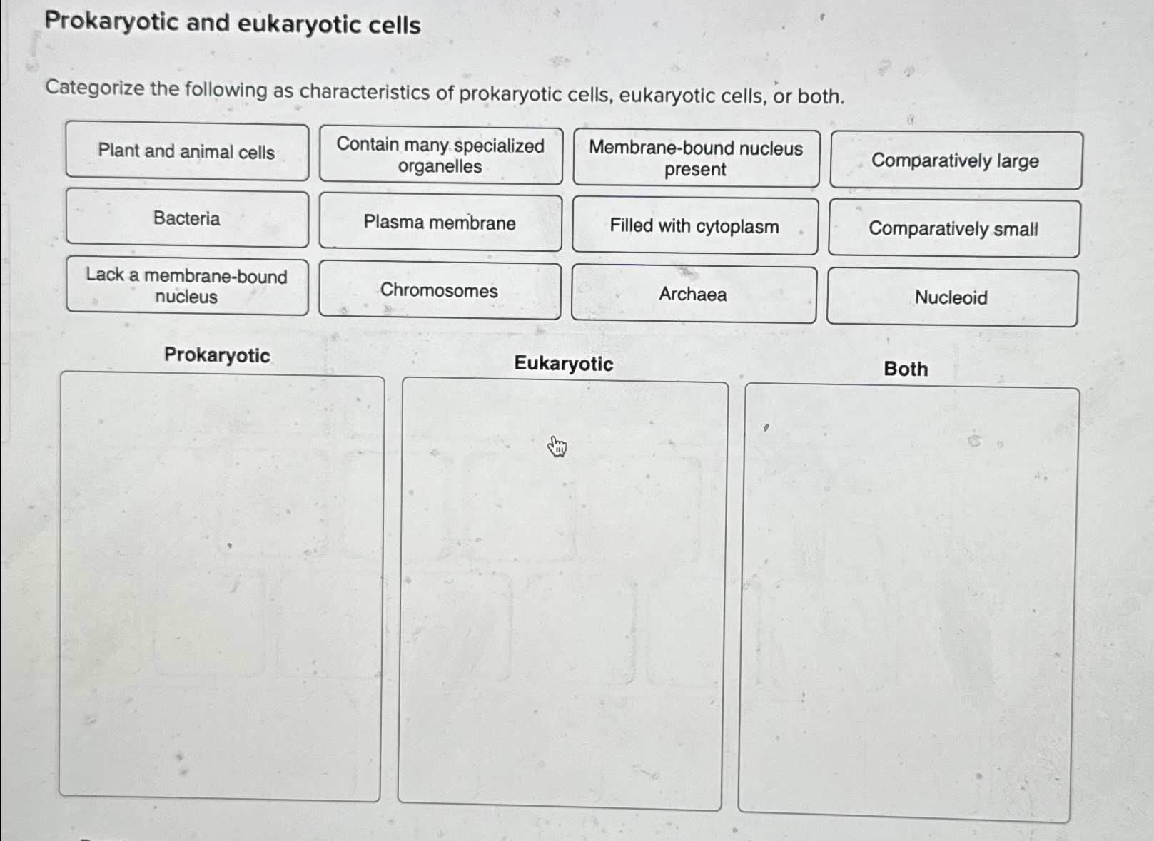 Solved Prokaryotic and eukaryotic cellsCategorize the | Chegg.com