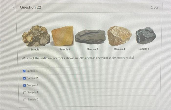 Solved Which of these sedimentary rocks would be classified | Chegg.com