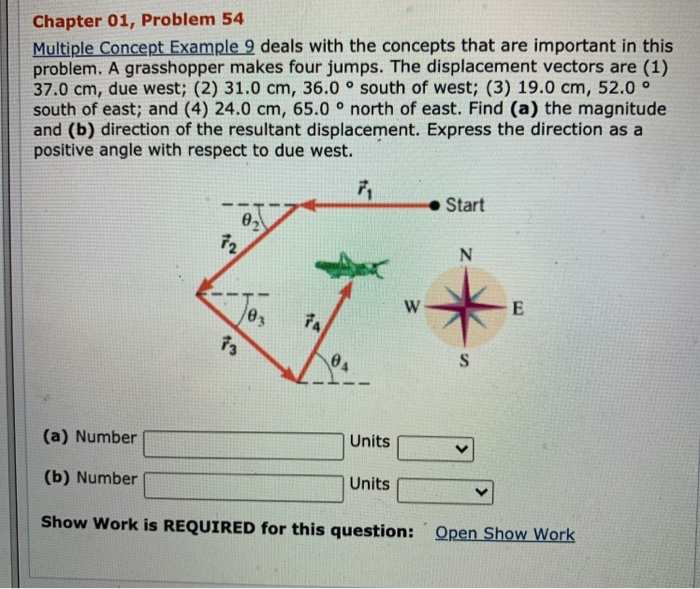 Solved Chapter 01, Problem 54 Multiple Concept Example 9 | Chegg.com