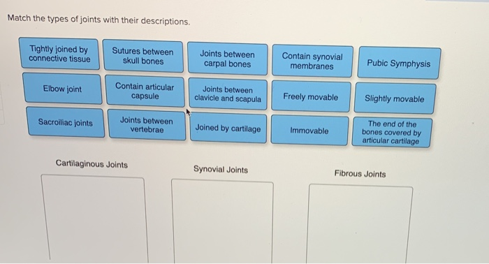 Solved Match the types of joints with their descriptions. | Chegg.com
