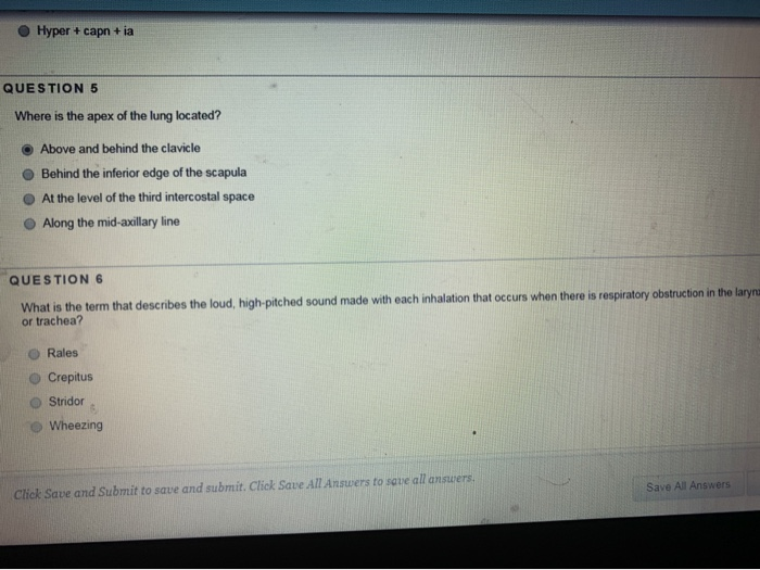 Solved Hyper + capnia QUESTION 5 Where is the apex of the | Chegg.com