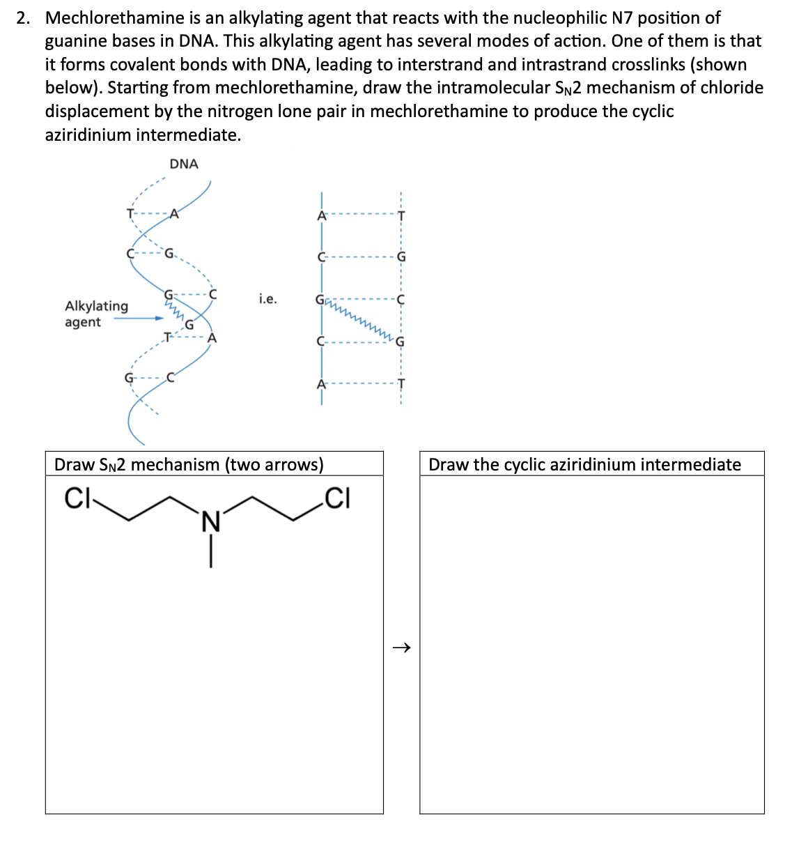 Solved 2. ﻿Mechlorethamine is an alkylating agent that | Chegg.com