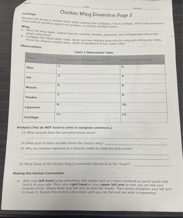 Solved Na Date Period Chicken Wing Dissection Page 2 | Chegg.com