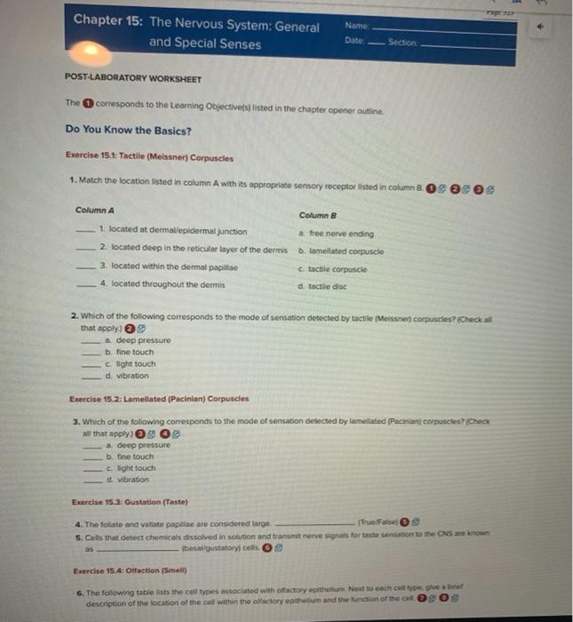 Solved Chapter 15: The Nervous System: General and Special | Chegg.com