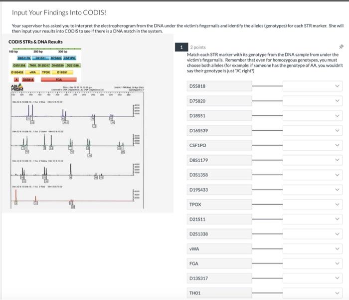 Input Your Findings Into CODIS! Your supervisor has | Chegg.com