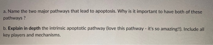 Solved a. Name the two major pathways that lead to | Chegg.com