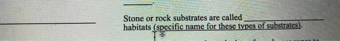 Solved Stone or rock substrates are called habitats | Chegg.com